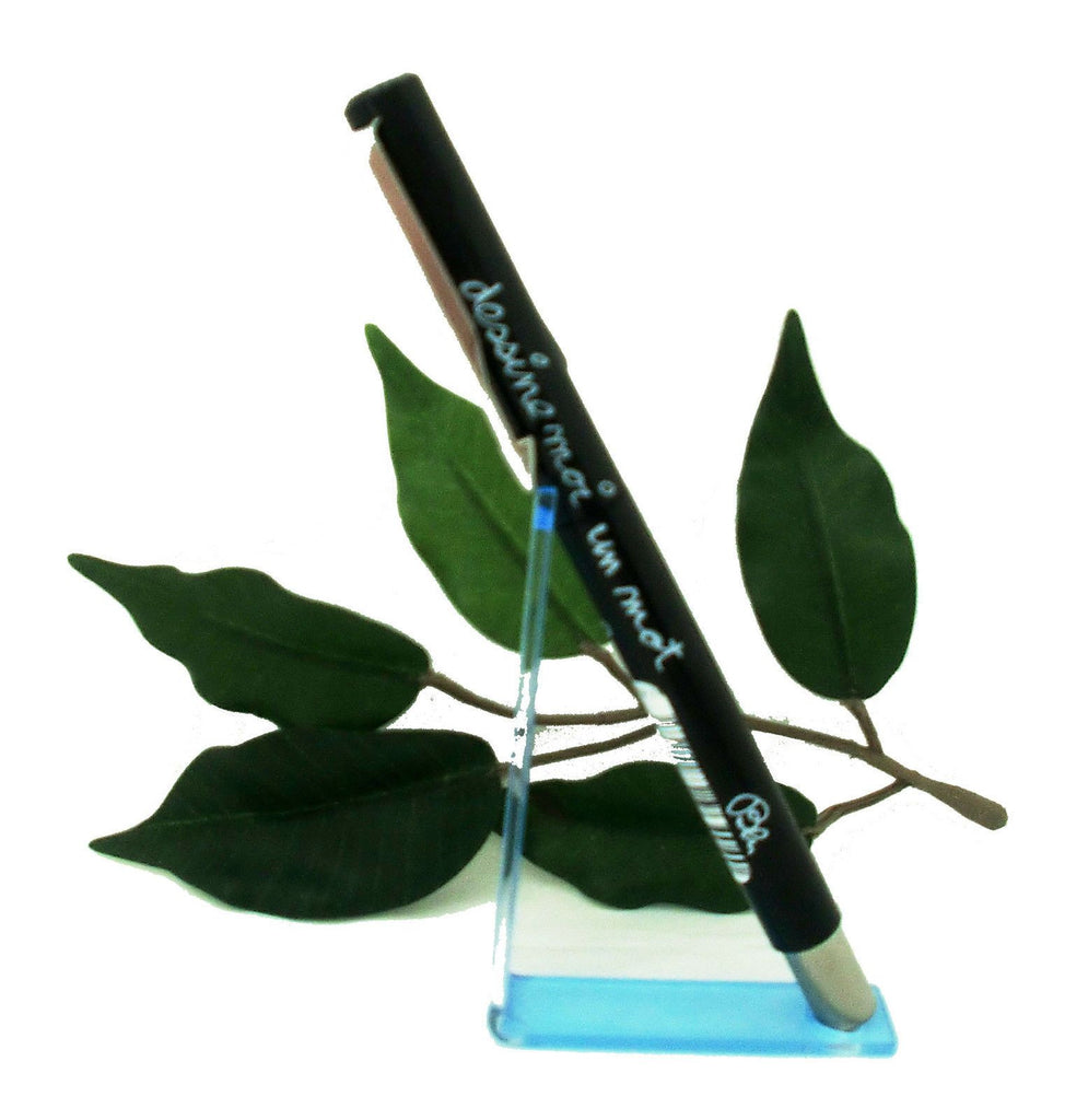Parker Vector BEN Fountain Pen Special Edition French Titles – Pens Etc
